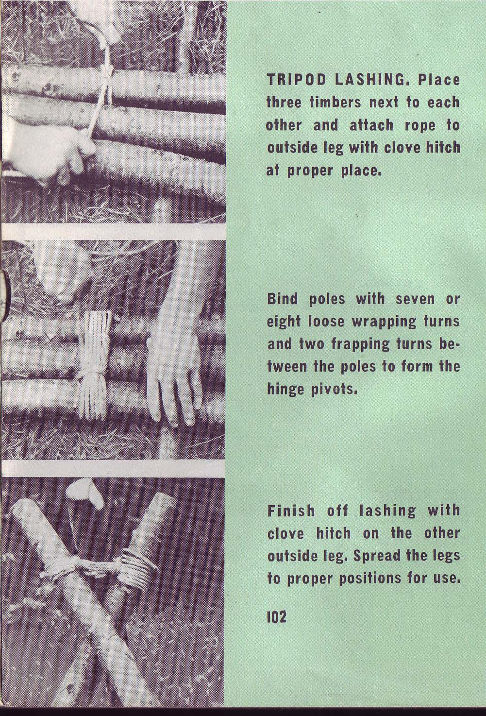 Tripod Lashing – SCOUT PIONEERING