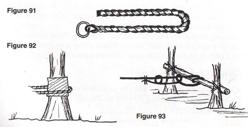 Guy-wire – SCOUT PIONEERING
