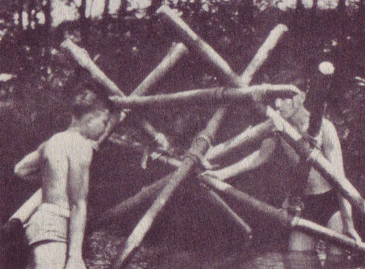 Boy Scout Pioneering – SCOUT PIONEERING