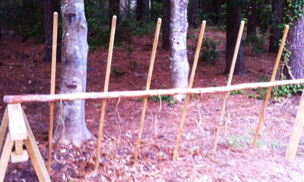 Pioneering Program Curriculum IV: Square Lashing! – SCOUT PIONEERING