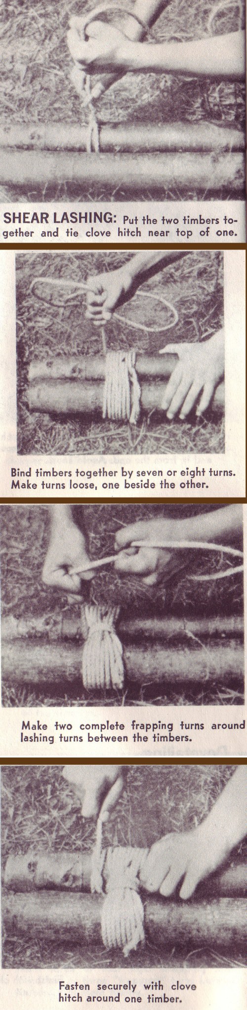 Tripod Lashing – SCOUT PIONEERING