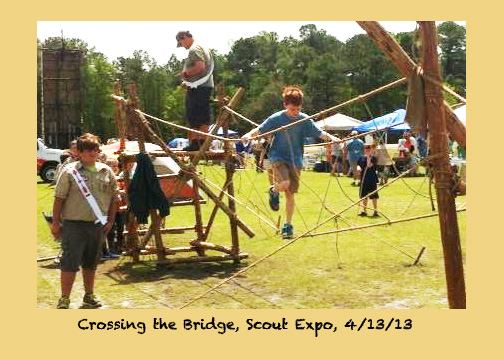 Monkey Bridge – SCOUT PIONEERING