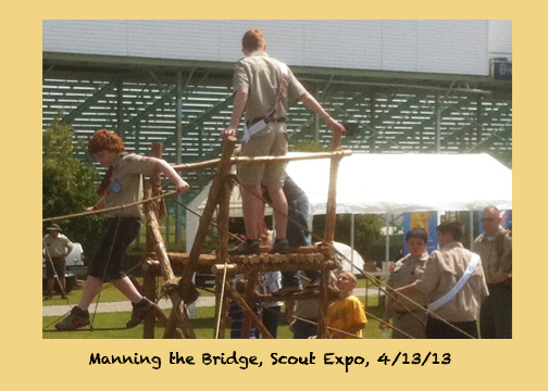 Monkey Bridge – SCOUT PIONEERING