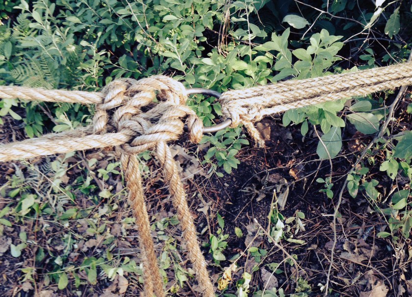 Monkey Bridge – SCOUT PIONEERING